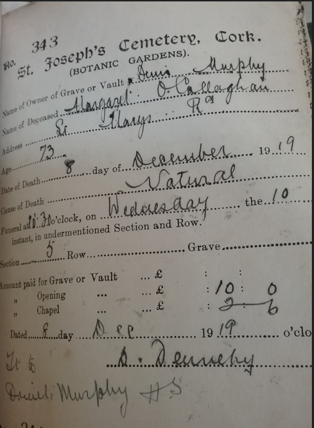 Death of Timothy O’Callaghan – In Search of Thomas Davis