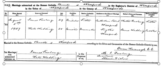 Kate (Wadding) FURLONG – In Search of Thomas Davis