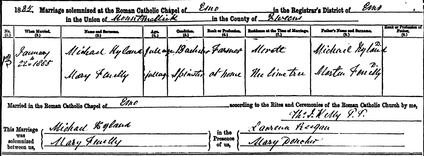 Michael HYLAND of Morette and Carlow (1851 – 1931) – In Search of ...